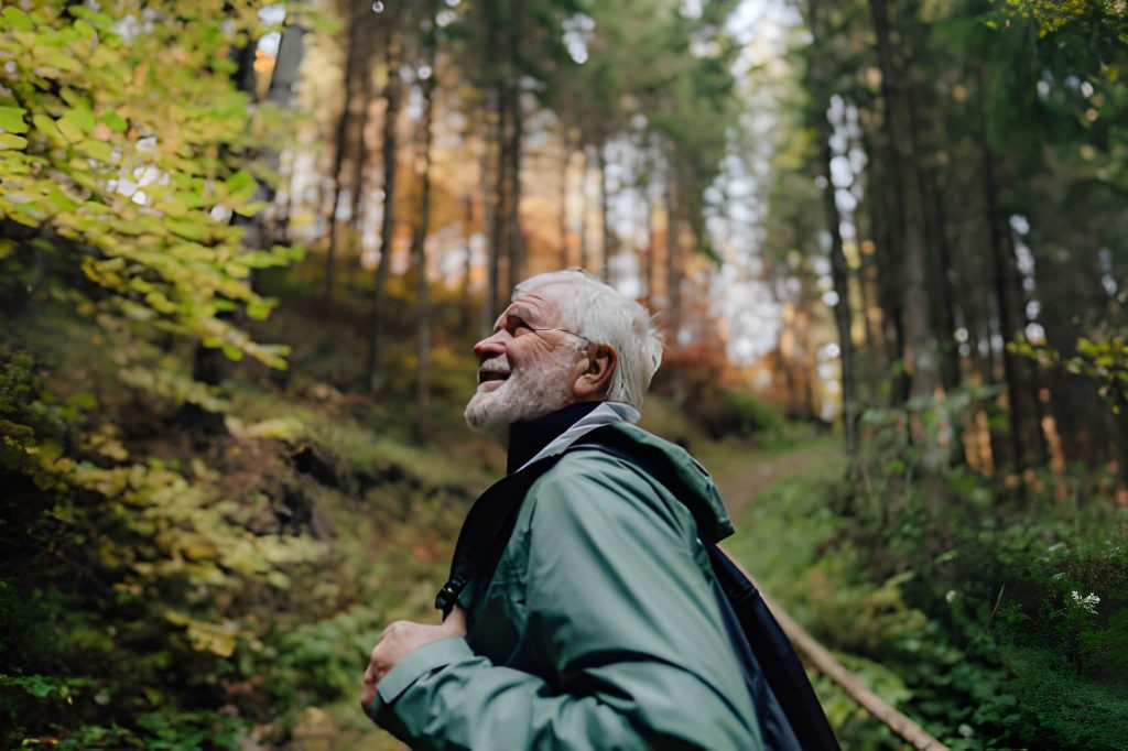 The Role of the Universe and Your Role in Life